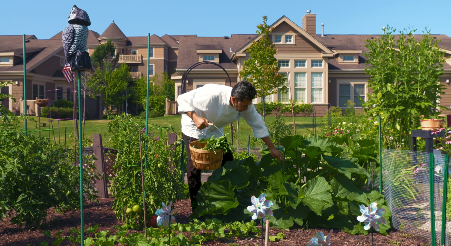 Elevate Every Meal with Vi’s Dining Program | Vi Living