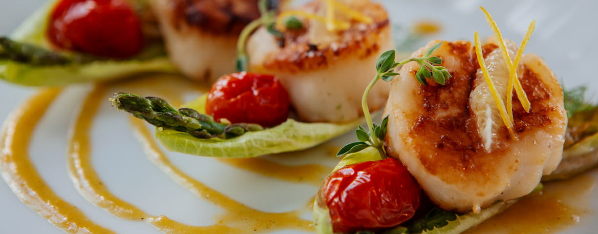 Florida’s Warmest Retirement Community | Vi at Lakeside Village